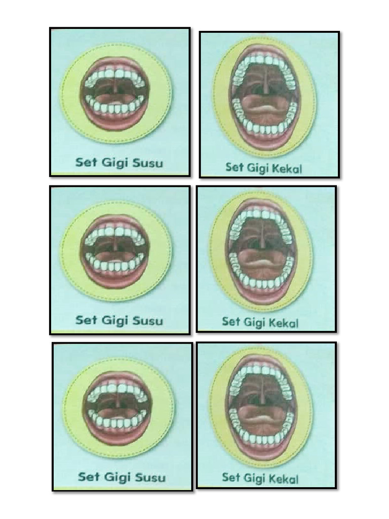 Gigi Susu Dan Gigi Kekal | PDF