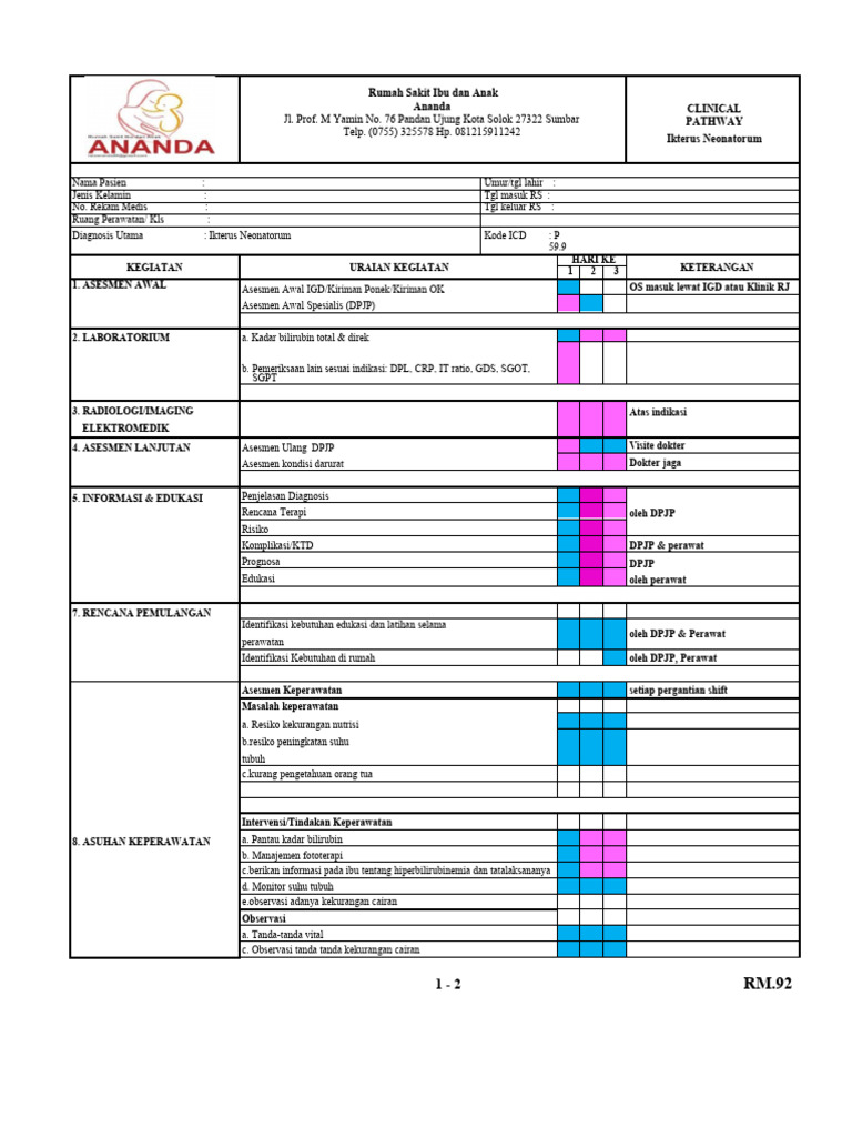 Pathway Ikterus Neonatorum di RSIA Ananda | PDF