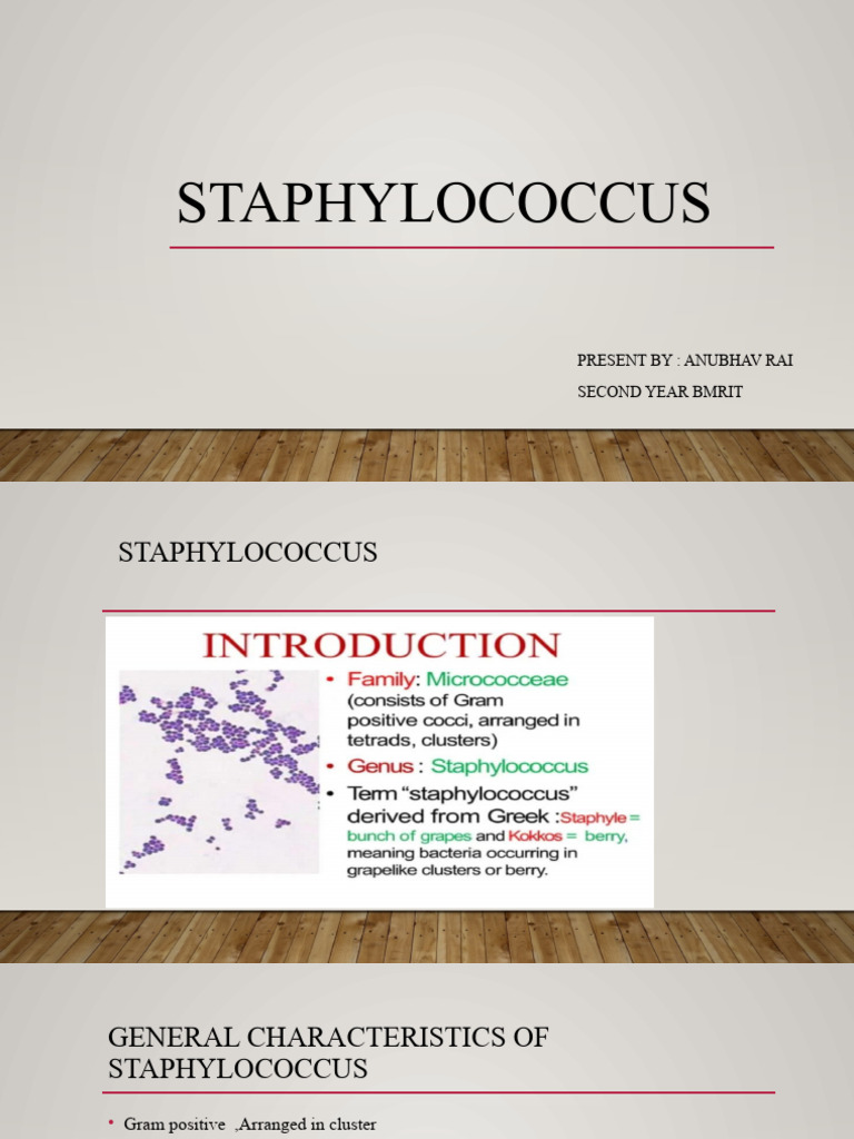 Anubhav Rai Staphylococcus | PDF | Methicillin Resistant Staphylococcus ...