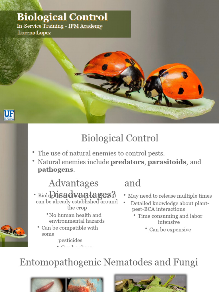 Bio Control Ll Pdf Biological Pest Control Pest Organism