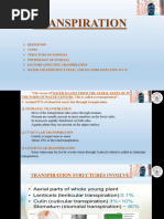 Pigeon Genetics: Answer Key | PDF | Dominance (Genetics) | Genotype