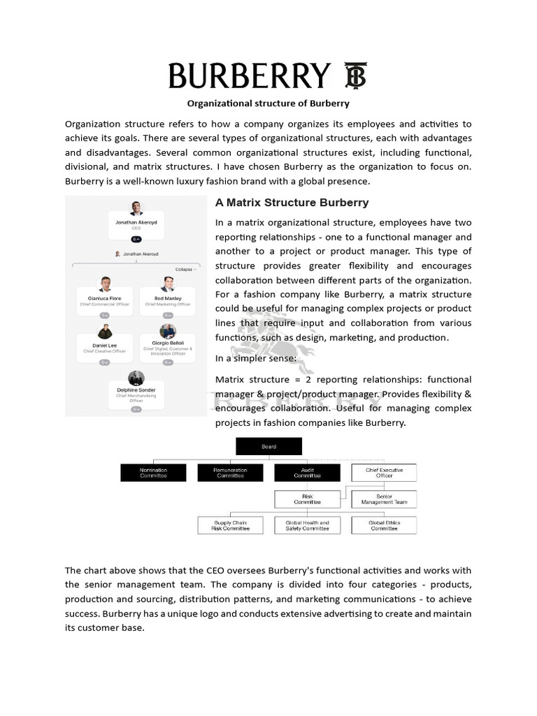 Organizational Structure of Burberry | PDF
