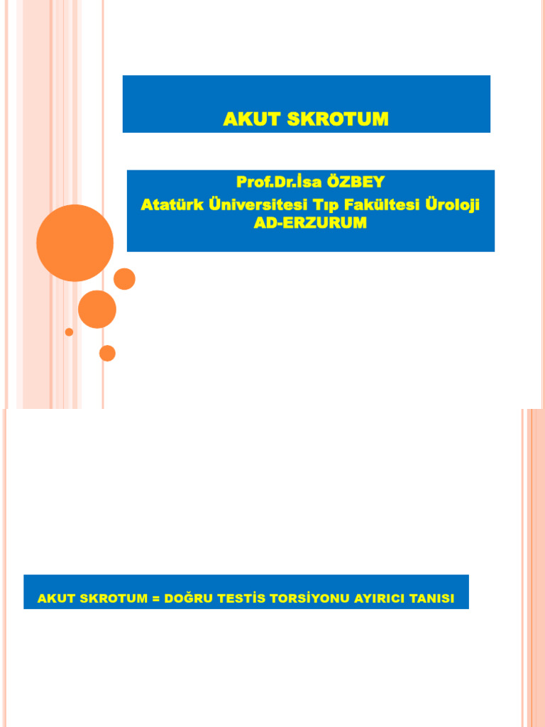 AKUT SKROTUM-ISA OZBEY Sertifikasyon | PDF