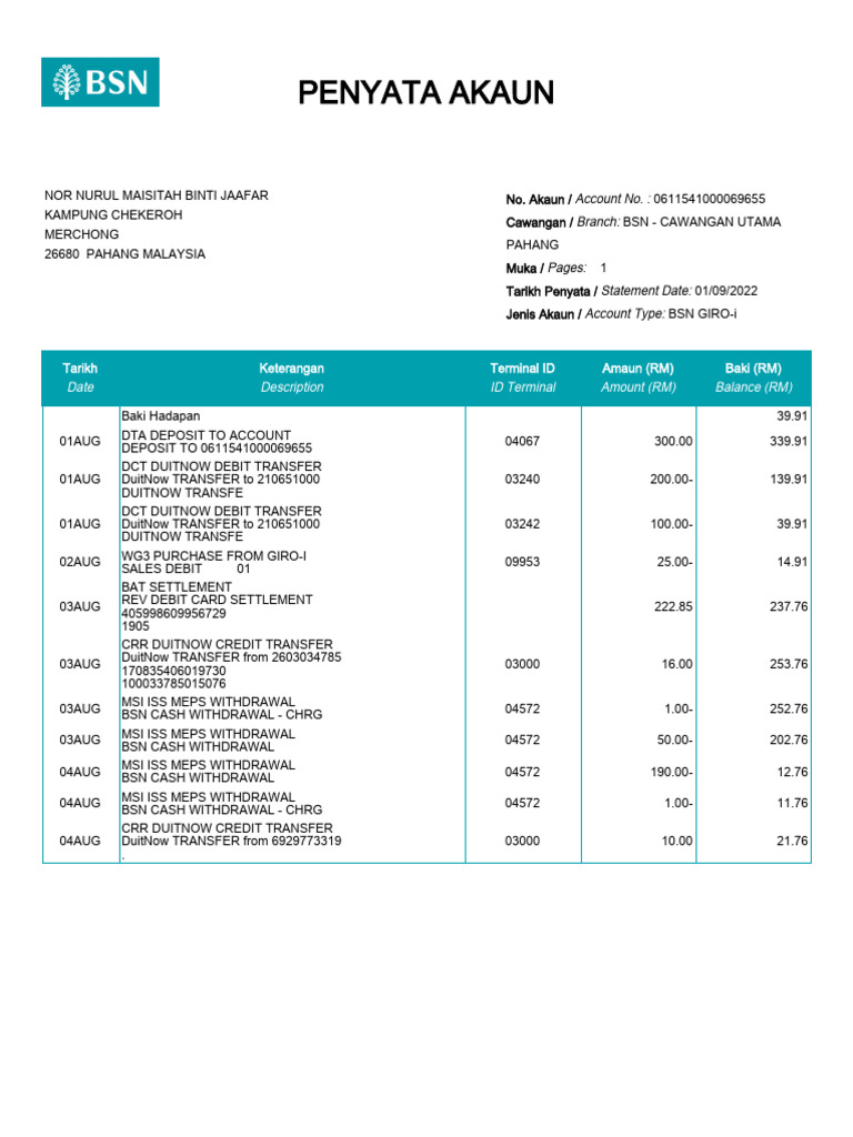 BSN Account Statement Summary | PDF | Debit Card | Payments
