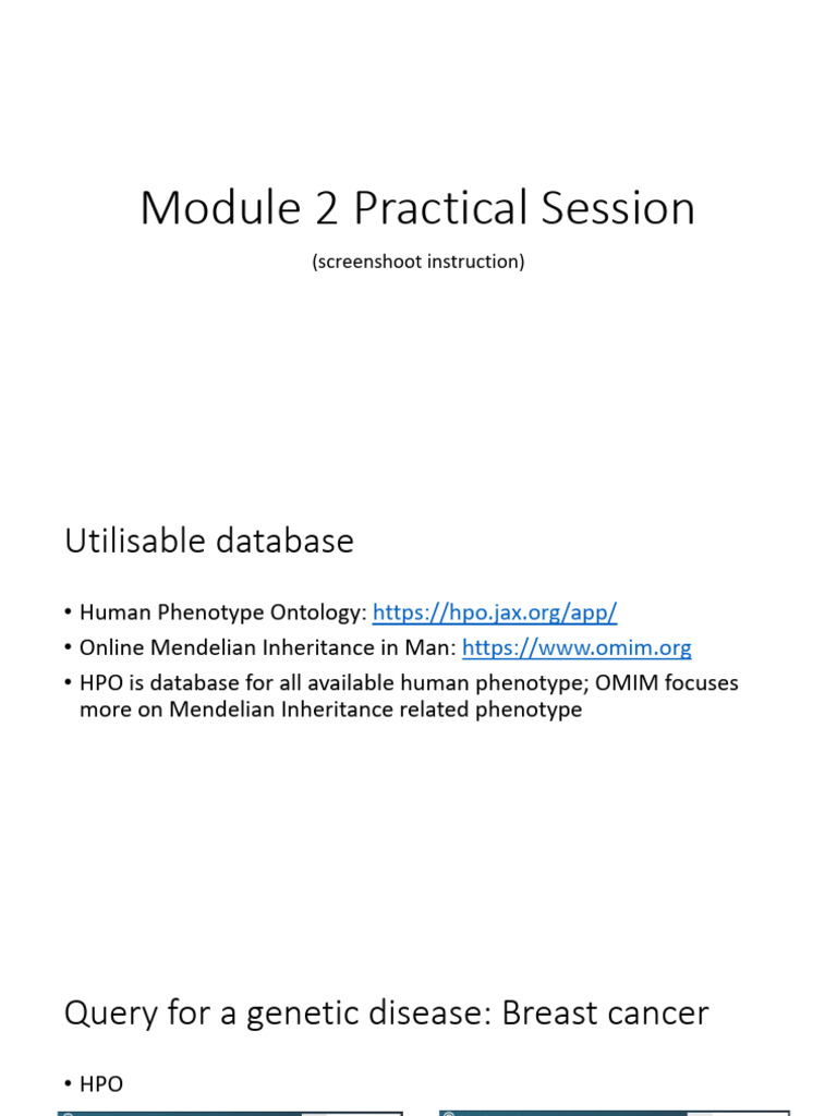 Module 2 Practical Session | PDF