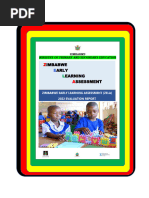 ZRP Proposed Rank Structure-1 | PDF | Sergeant | Inspector