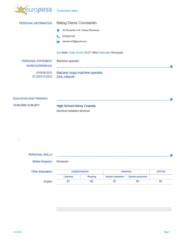Batog Denis Constantin CV en | PDF