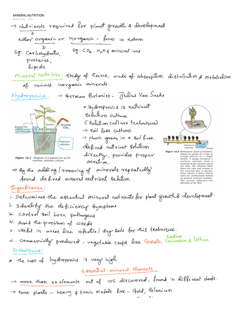 Mr01-Mineral Nutrition | PDF