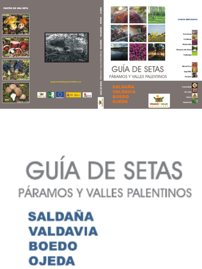 Libro Setas | PDF