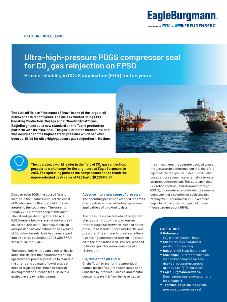 CaseStudy - EagleBurgmann - PDGS For CO2 Gas Reinjection - EN - 23 11 | PDF | Carbon Capture And ...