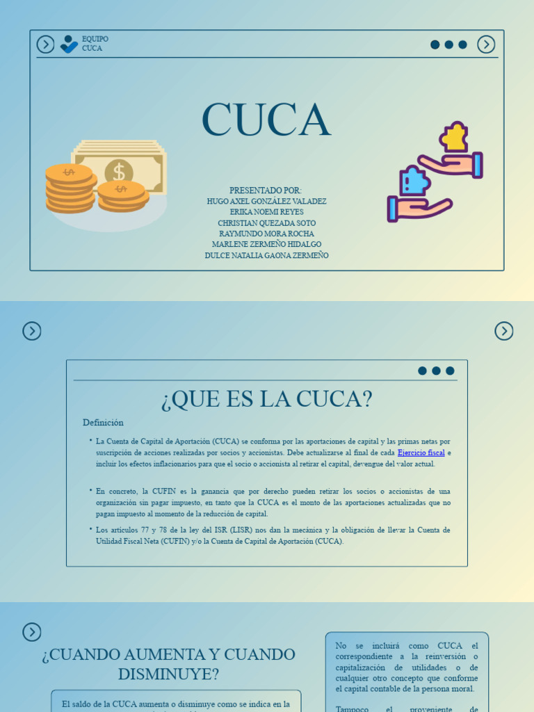 CUCA | PDF | Contabilidad | Compartir (Finanzas)