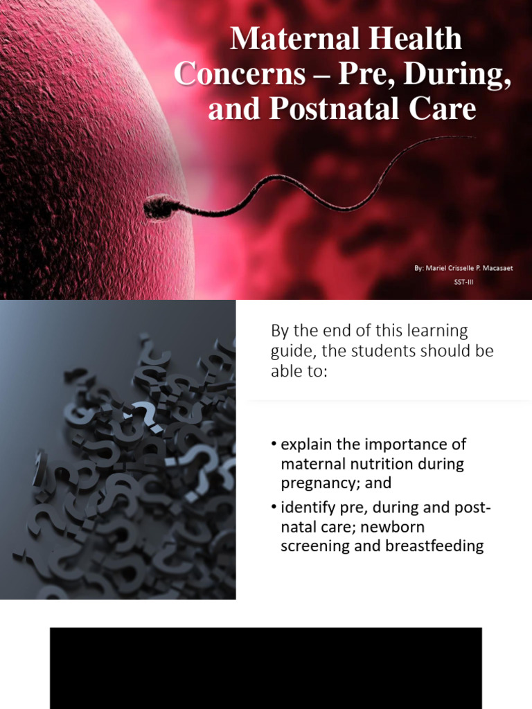Maternal Health Concerns Pre During and PostNatal Care | Download Free ...