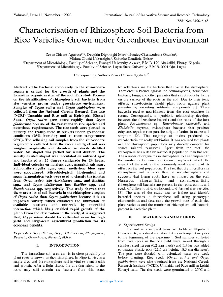 Characterisation of Rhizosphere Soil Bacteria From Rice Varieties Grown ...