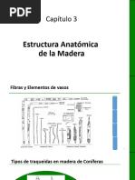 Funcion de Las Uniones GAP en La Union Interceluar | PDF | Biología ...