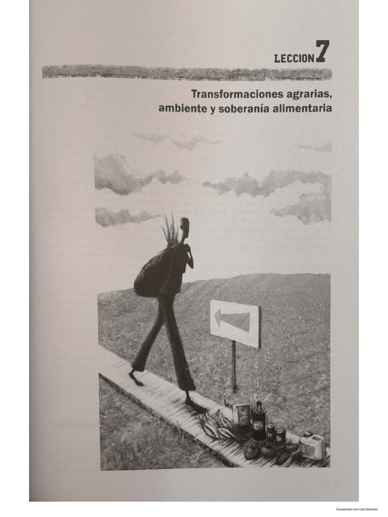 Canciani-Telias-Sessano - Lección 7 - Transformaciones Agrarias Ambiente y Soberanía Alimentaria ...