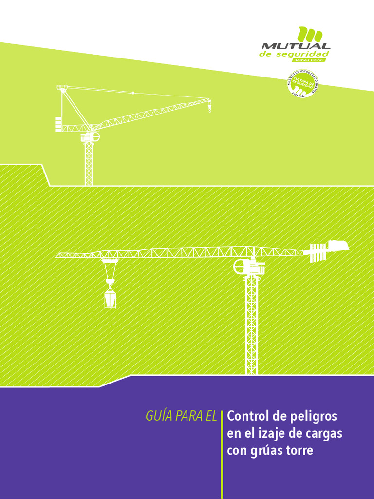 Guia Control Peligros Gruas Torre | PDF | Grúa (máquina) | Ingenieria Eléctrica
