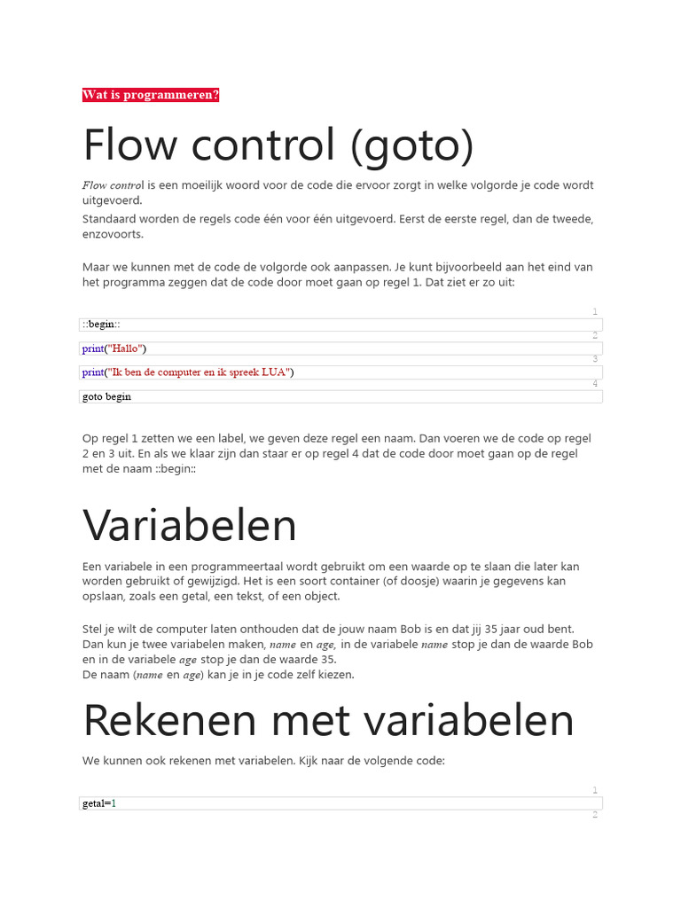 Wat Is Programmeren | PDF
