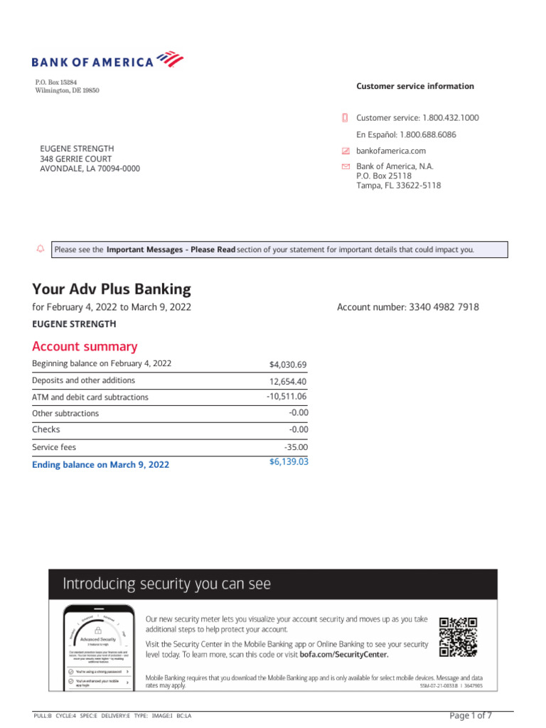 Bank of America Account Statement | PDF | Overdraft | Transaction Account