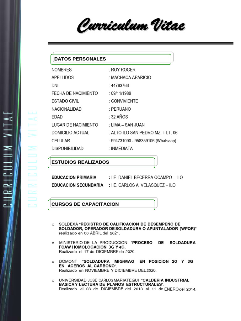 Currículum Vitae de Roy Roger Machaca | PDF