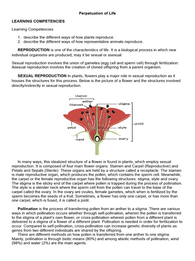 LESSON 3 Perpetuation of Life | PDF | Flowers | Reproduction