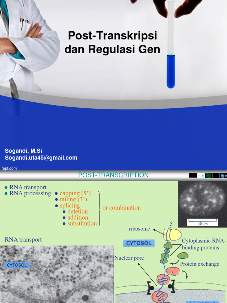 Post-Transkripsi Dan Regulasi Gen | PDF | Operon | Repressor