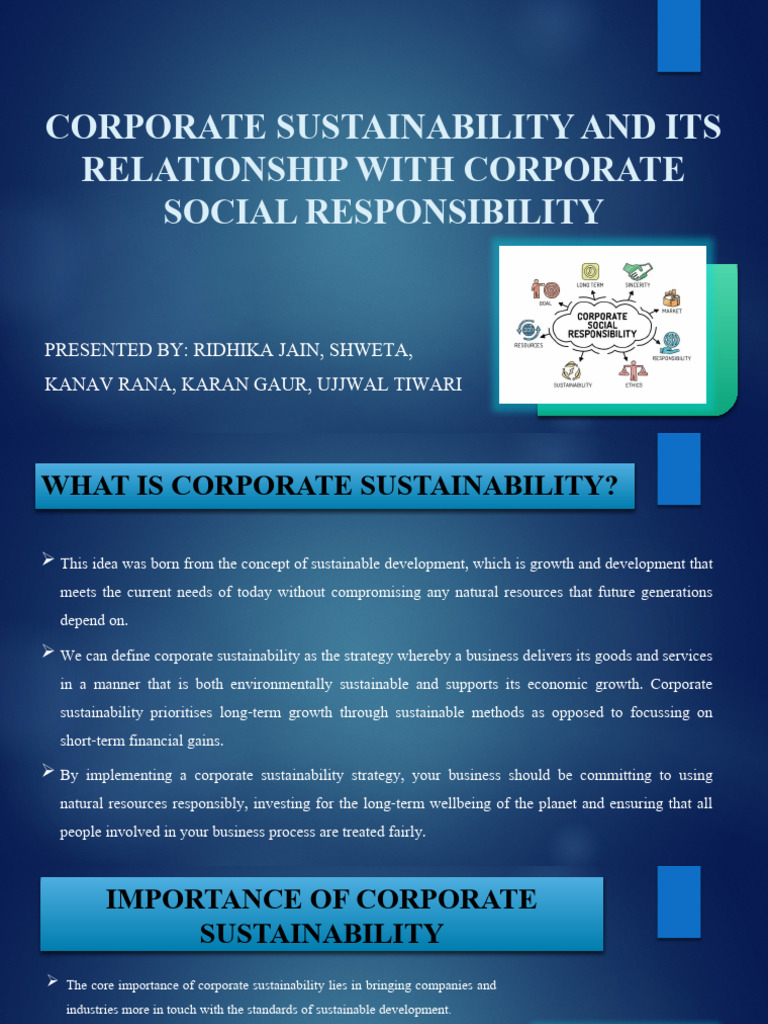 Corporate Sustainability Explained | PDF | Corporate Social ...