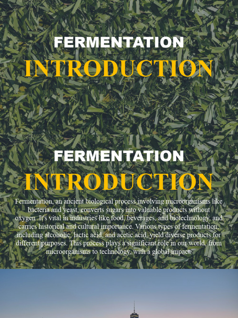 Fermentation | PDF | Fermentation | Food Science