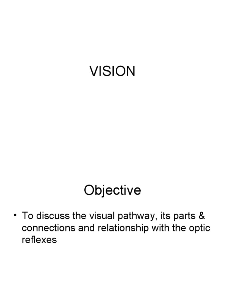 Lecture - Visual Pathway | PDF | Visual System | Retina
