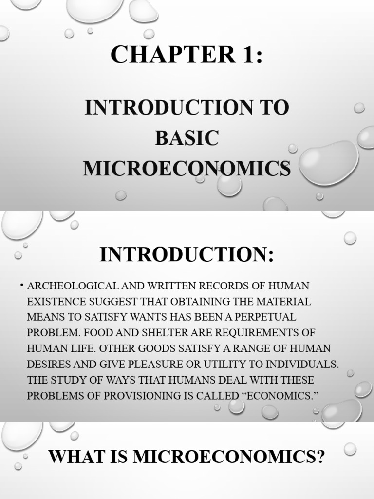 Chapter 1 Introduction To Micro Economics | PDF | Microeconomics | Demand