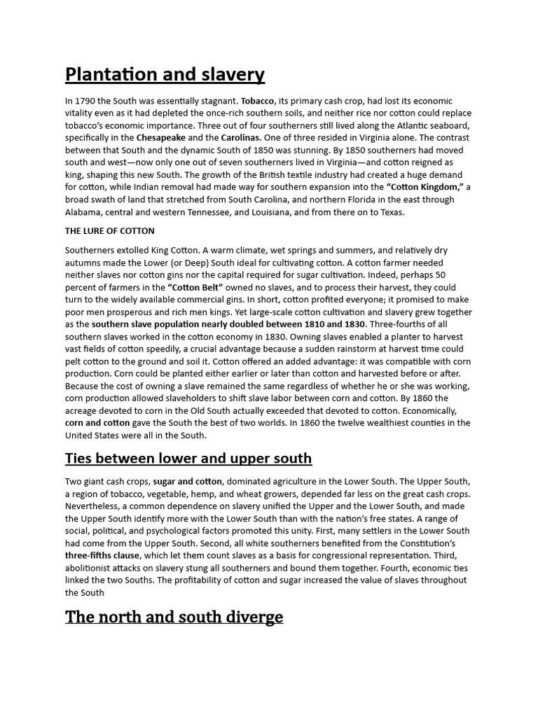 Plantation and Slavery: The North and South Diverge | PDF | Slavery In ...