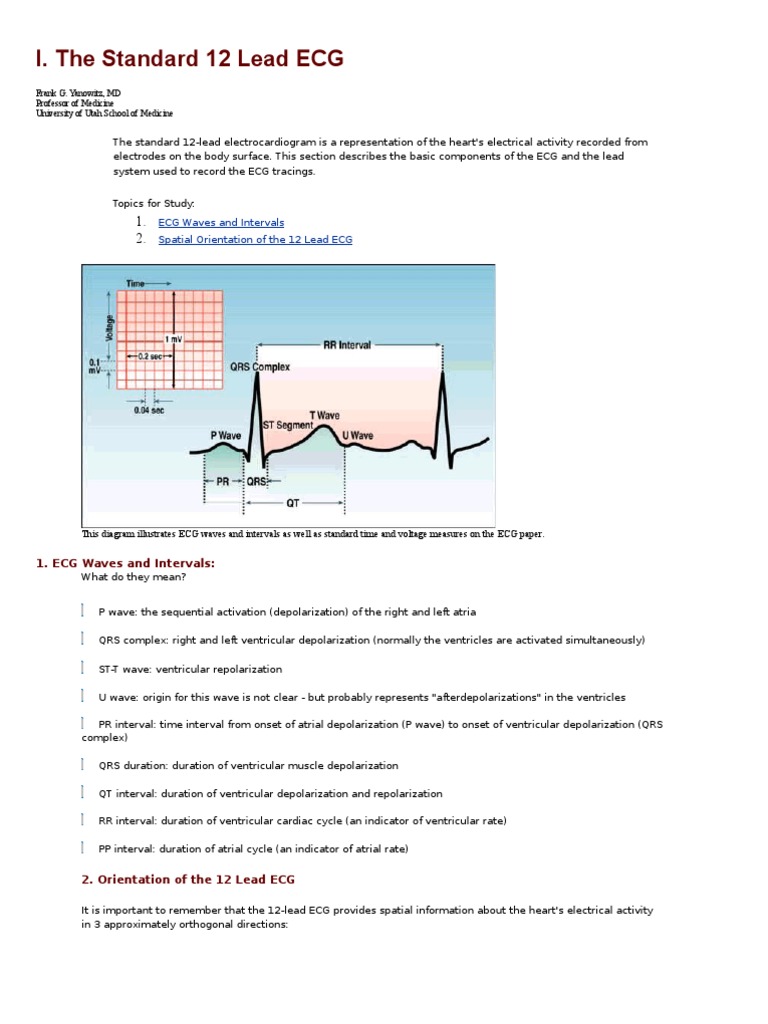 I. The Standard 12 Lead ECG | Electrocardiography | Internal Medicine