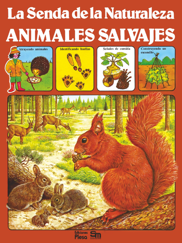 La Senda de La Naturaleza. Carta Animales Salvajes - Ediciones Plesa | PDF