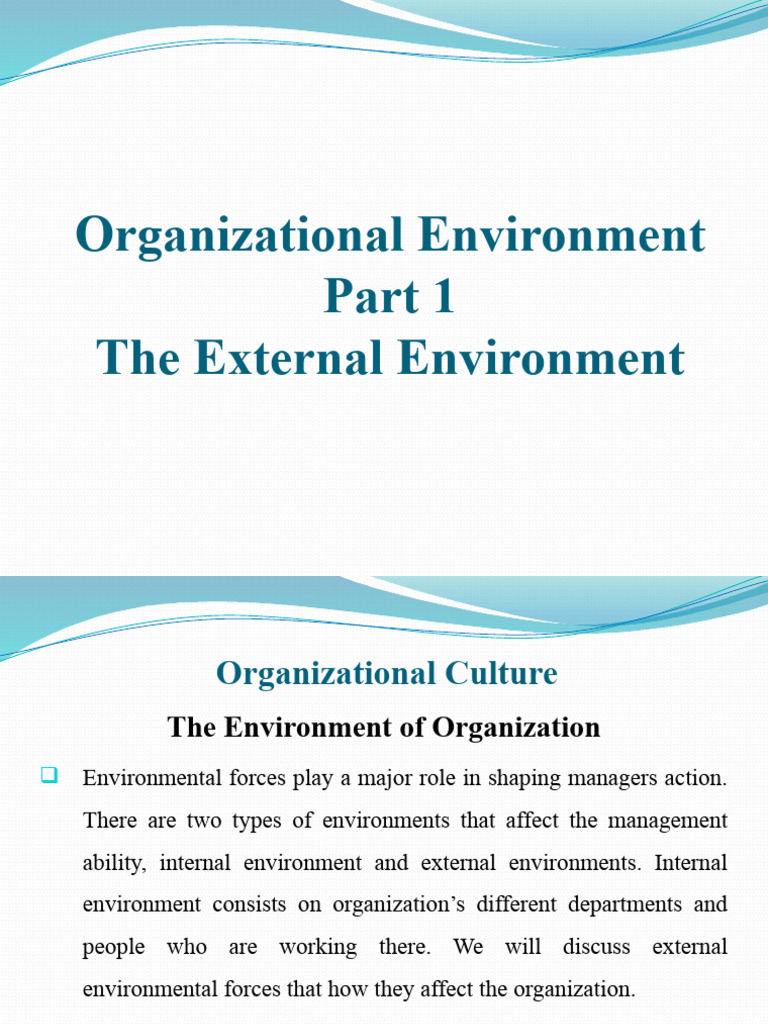 Organizational Environment Part 1 | PDF | Career & Growth | Business