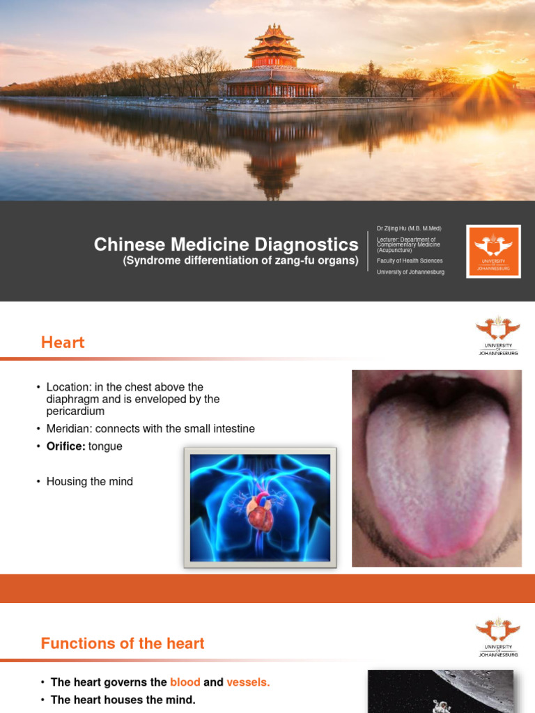 Syndrome Differentiation of The Zang-Fu Organs - 1 | PDF | Traditional ...