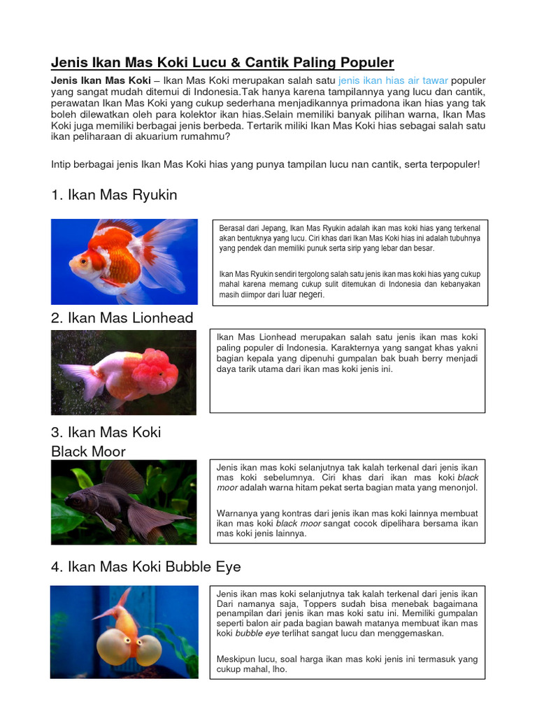 25 Jenis Ikan Mas Koki Cantik dan Populer | PDF