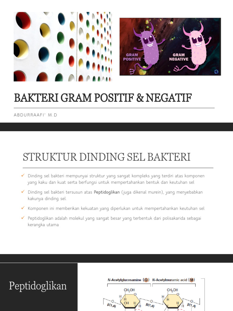 Bakteri Gram Positive & Negative | PDF