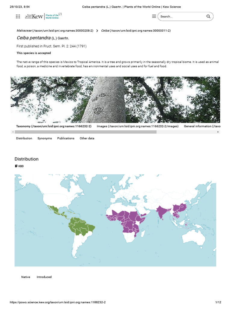 Ceiba pentandra Overview and Uses | PDF | Central America | Taxa