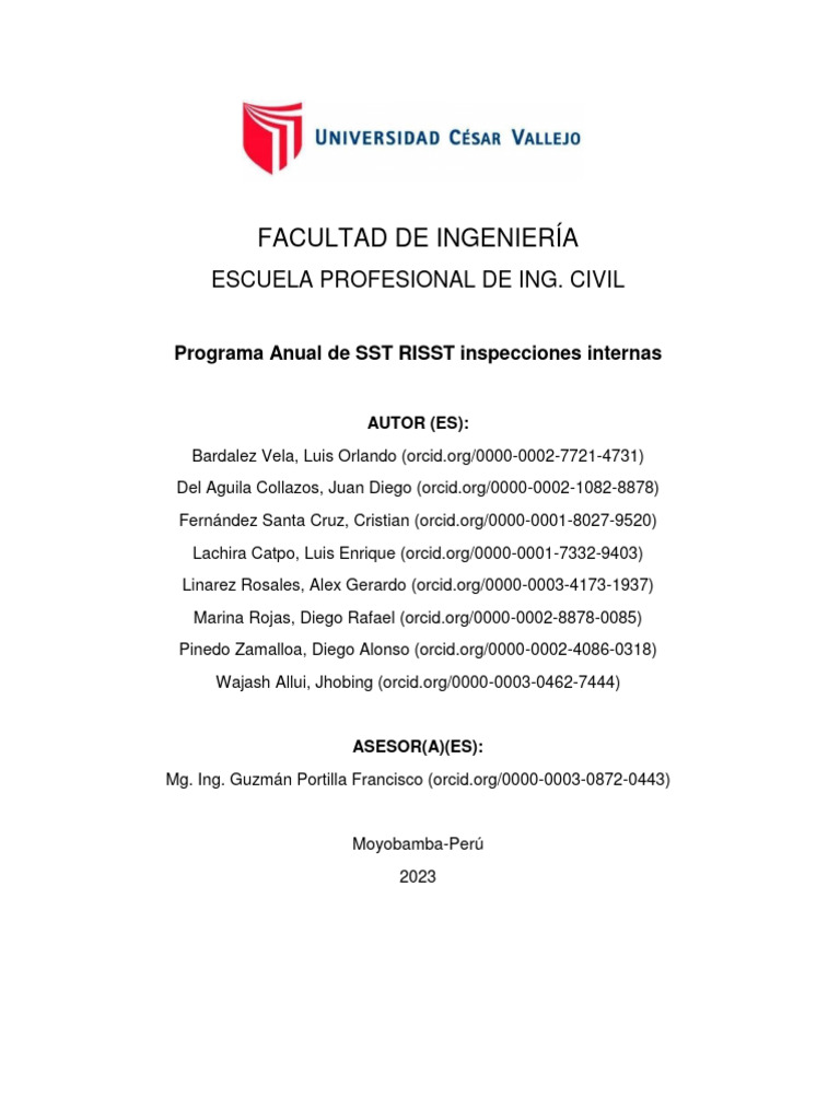 Programa Anual de SST RISST Inspecciones Internas G°1 | PDF | Auditoría | Valores