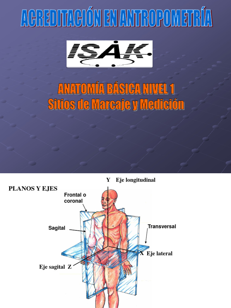 Anatomia - Antropometira Isak 1 - Group Fit | PDF