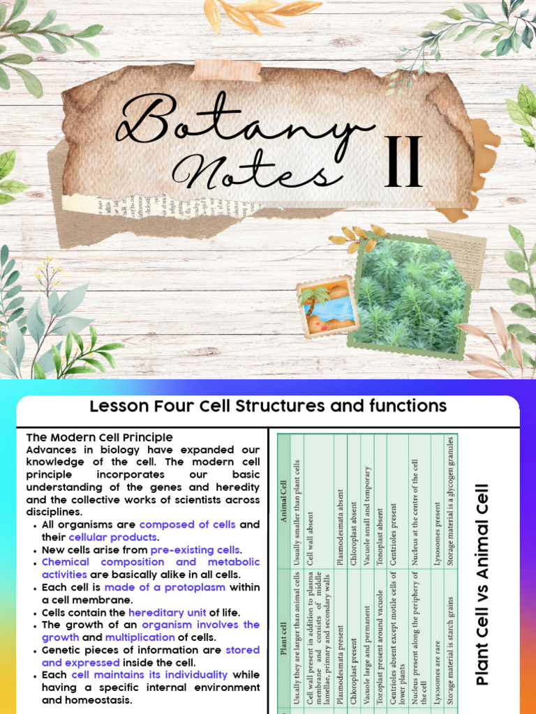Botany Notes Part 2 | PDF | Endoplasmic Reticulum | Cell Membrane