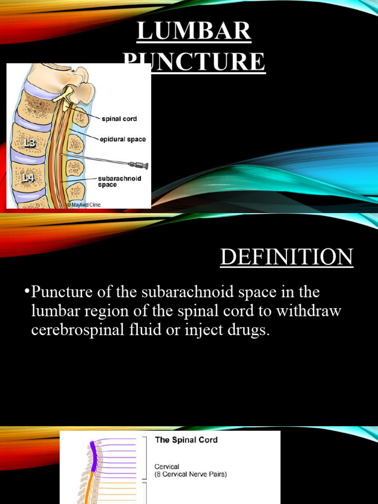 Lumbar Puncture | PDF | Cerebrospinal Fluid | Clinical Medicine