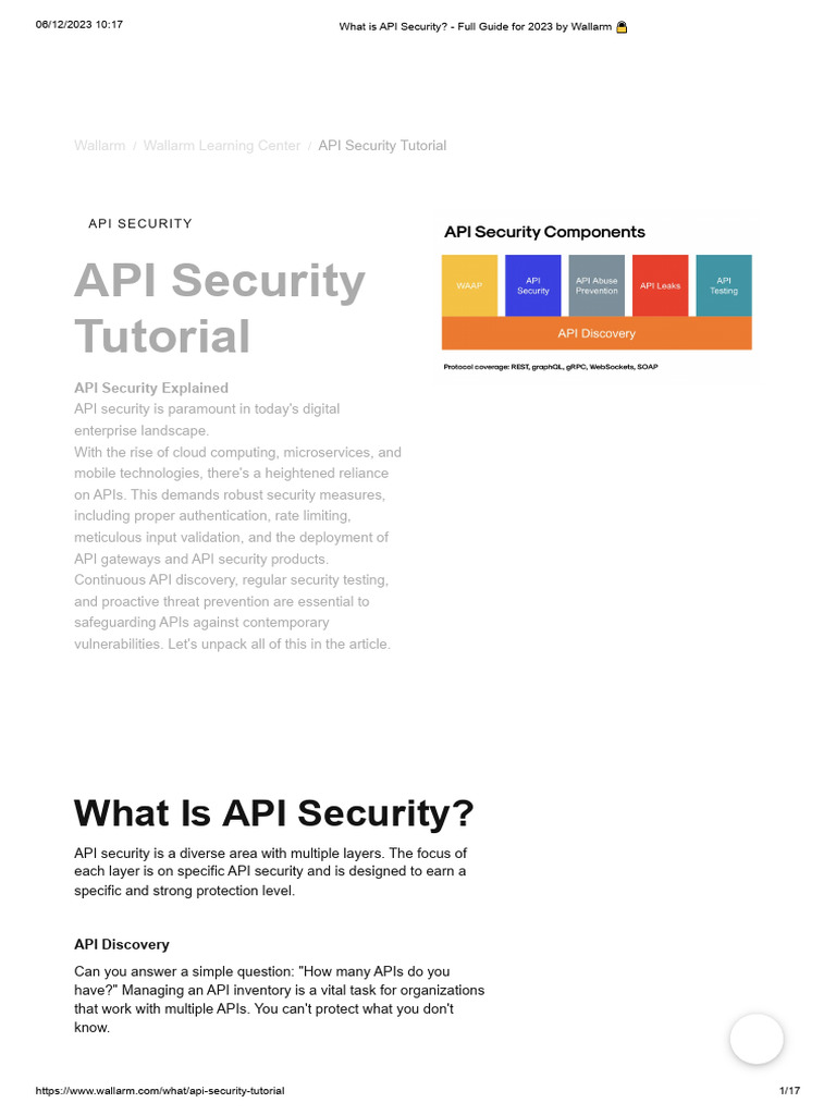 What Is API Security - Full Guide For 2023 by Wallarm | PDF | Security | Computer Security