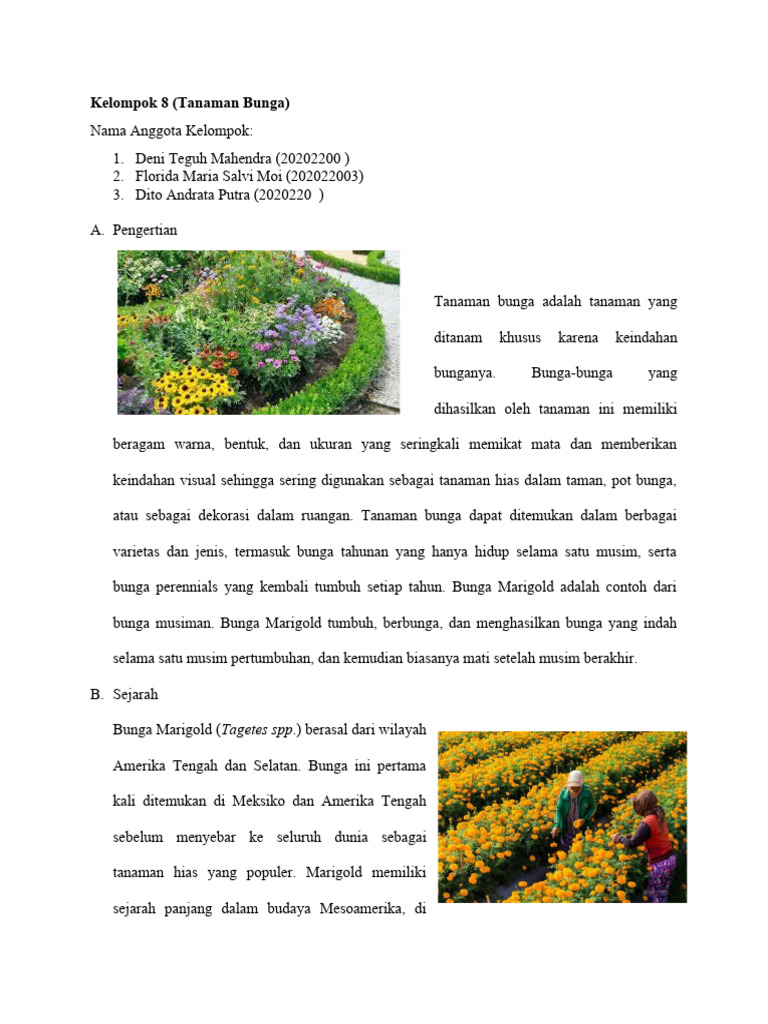 Tugas Kelompok 8 (Teori Tanaman Bunga) | PDF