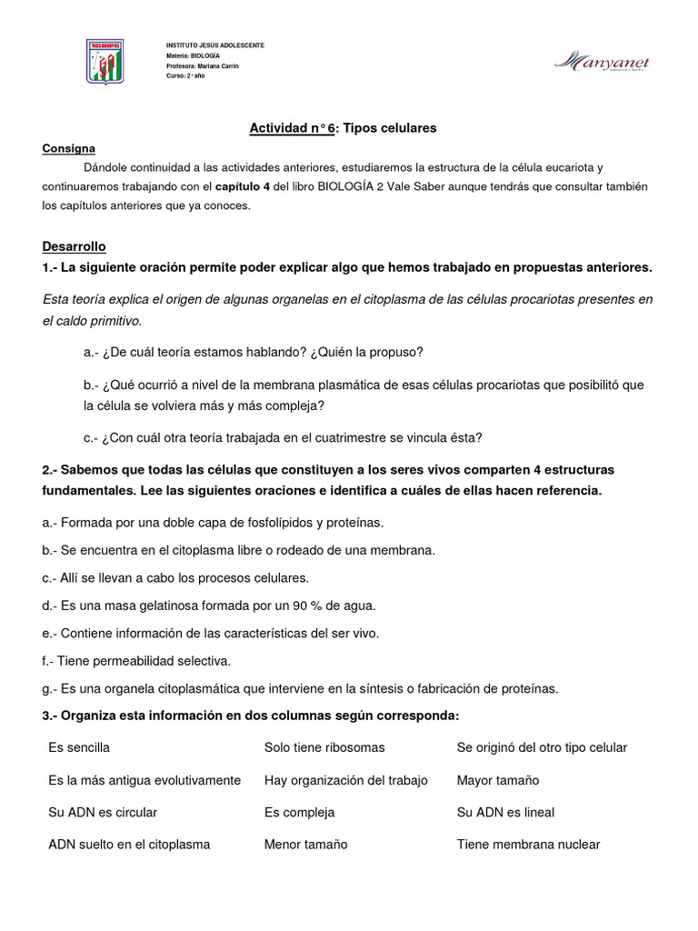 ACTIVIDAD 6 Tipos Celulares | PDF | Biología Celular) | Citoplasma