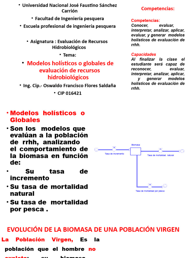Modelos Holisticos o Globales | PDF | Pesquería