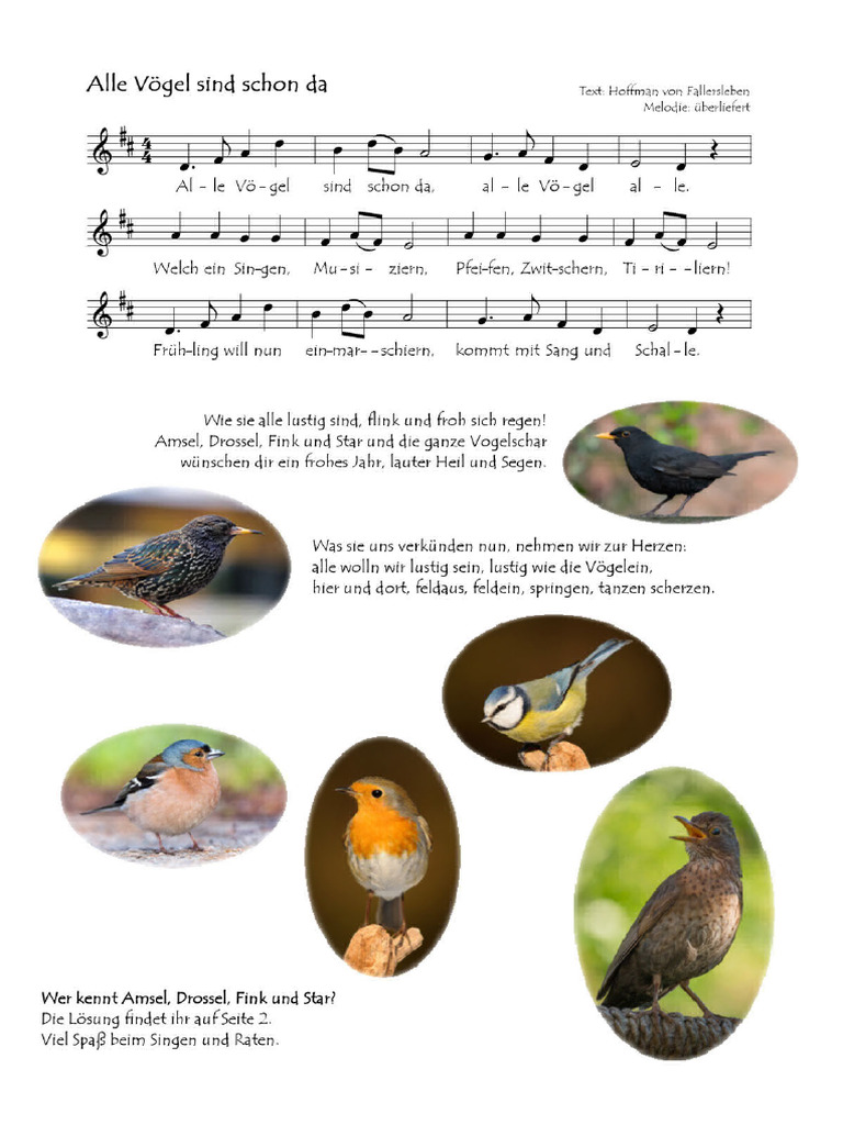 Alle Voegel Sind Schon Da | PDF