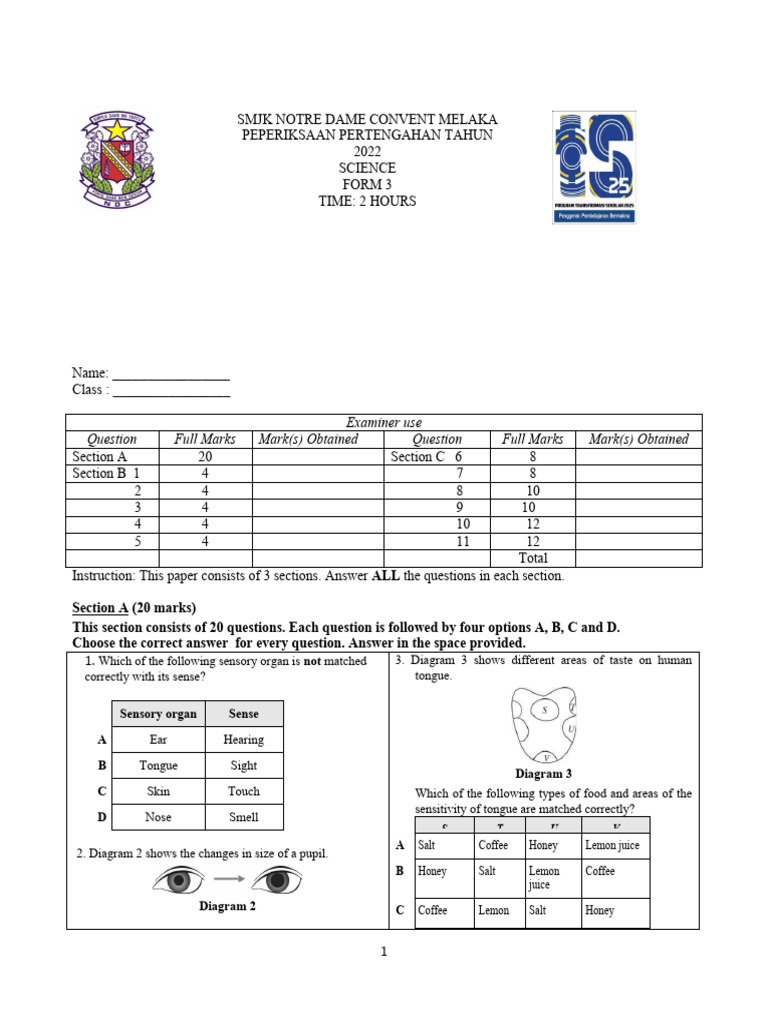 Revision Practice Answer | PDF | Heart Valve | Artery