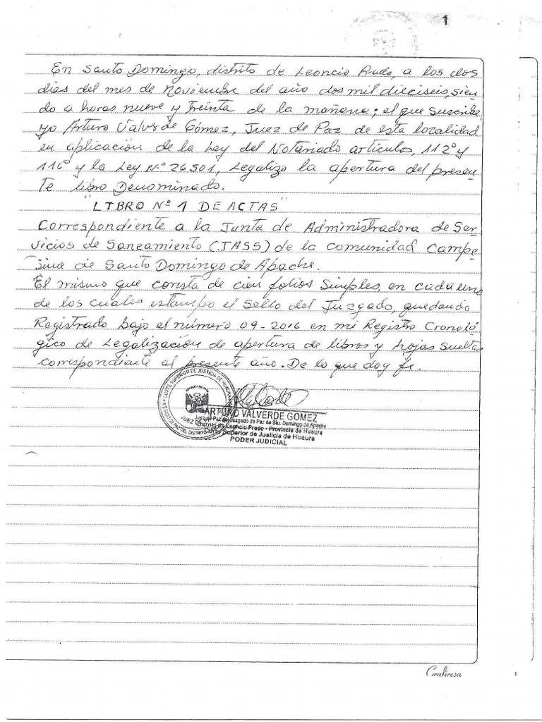 Modelo Constitucion de Jass | PDF