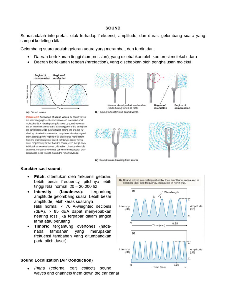 Fisiologi Hearing | PDF | Auditory System | Depolarization