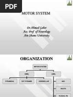 Pyramidal Weakness. Practical Neurology | PDF | Anatomical Terms Of ...